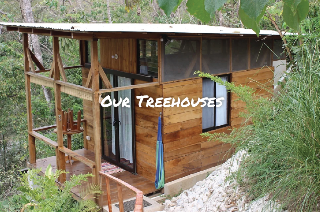 Accommodations – Surf Samara